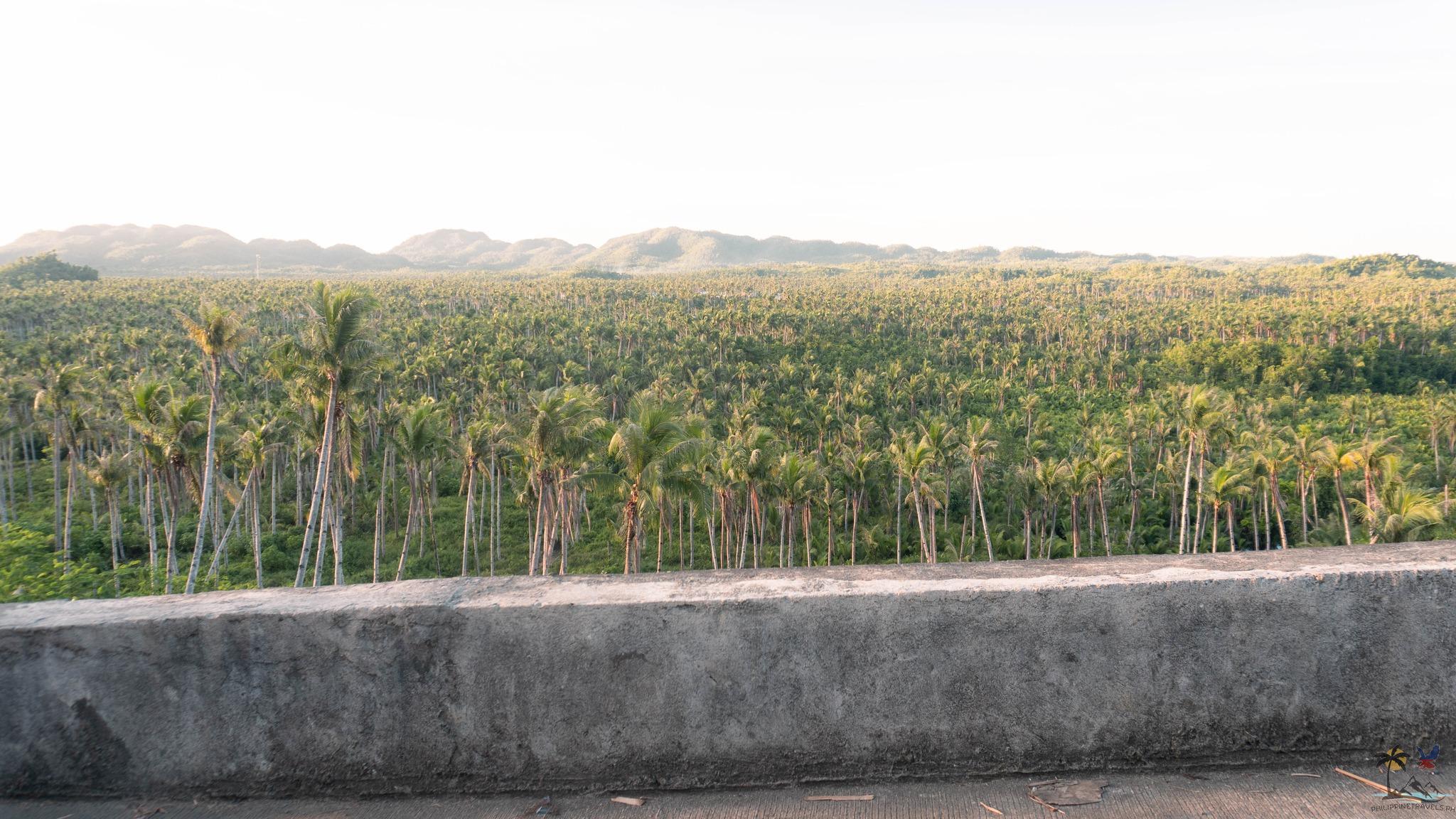 Siargao Travel Guide - Important Things to Know Before Visiting!