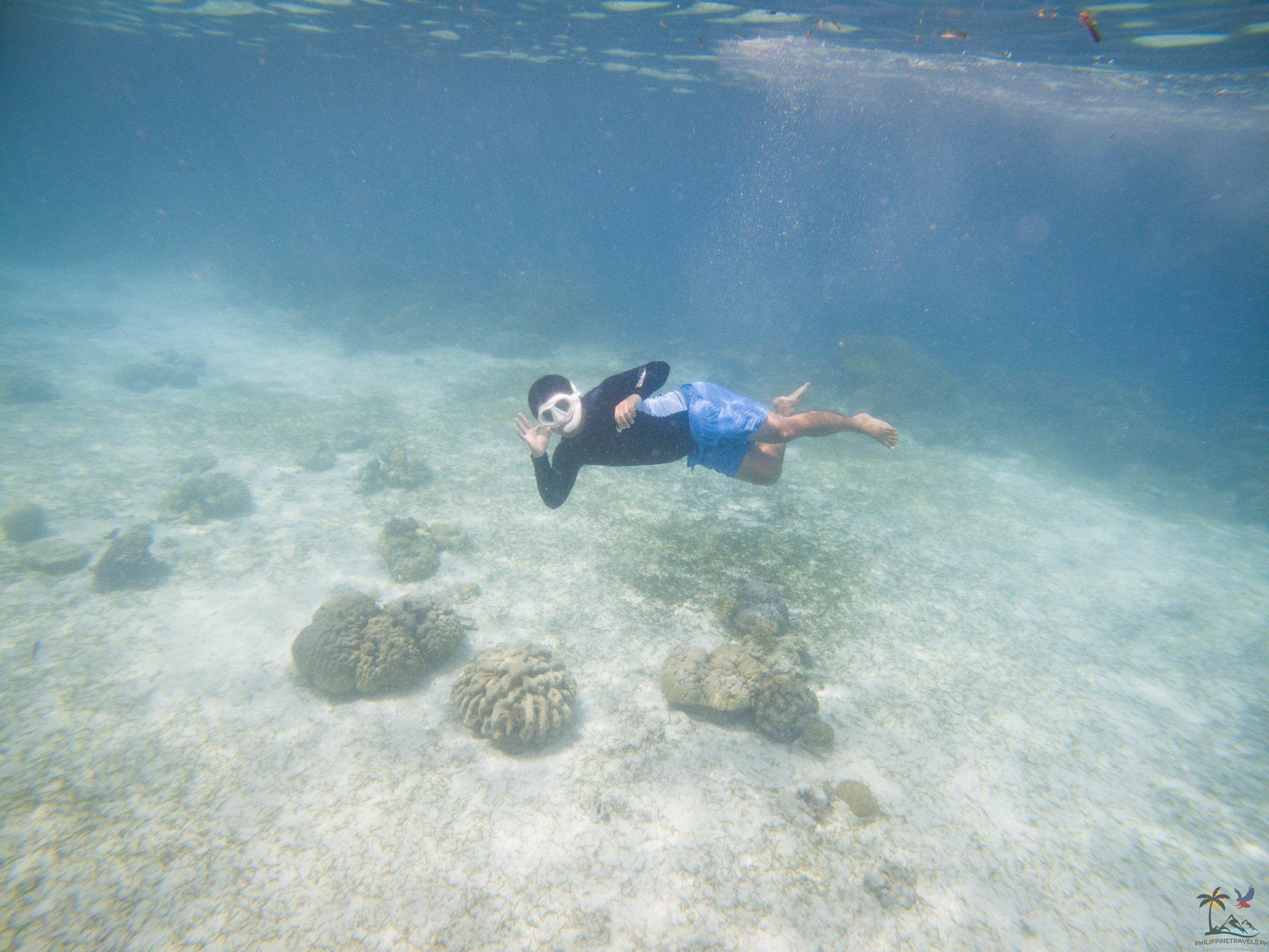 Mantigue Island - What to Expect + Planning Tips