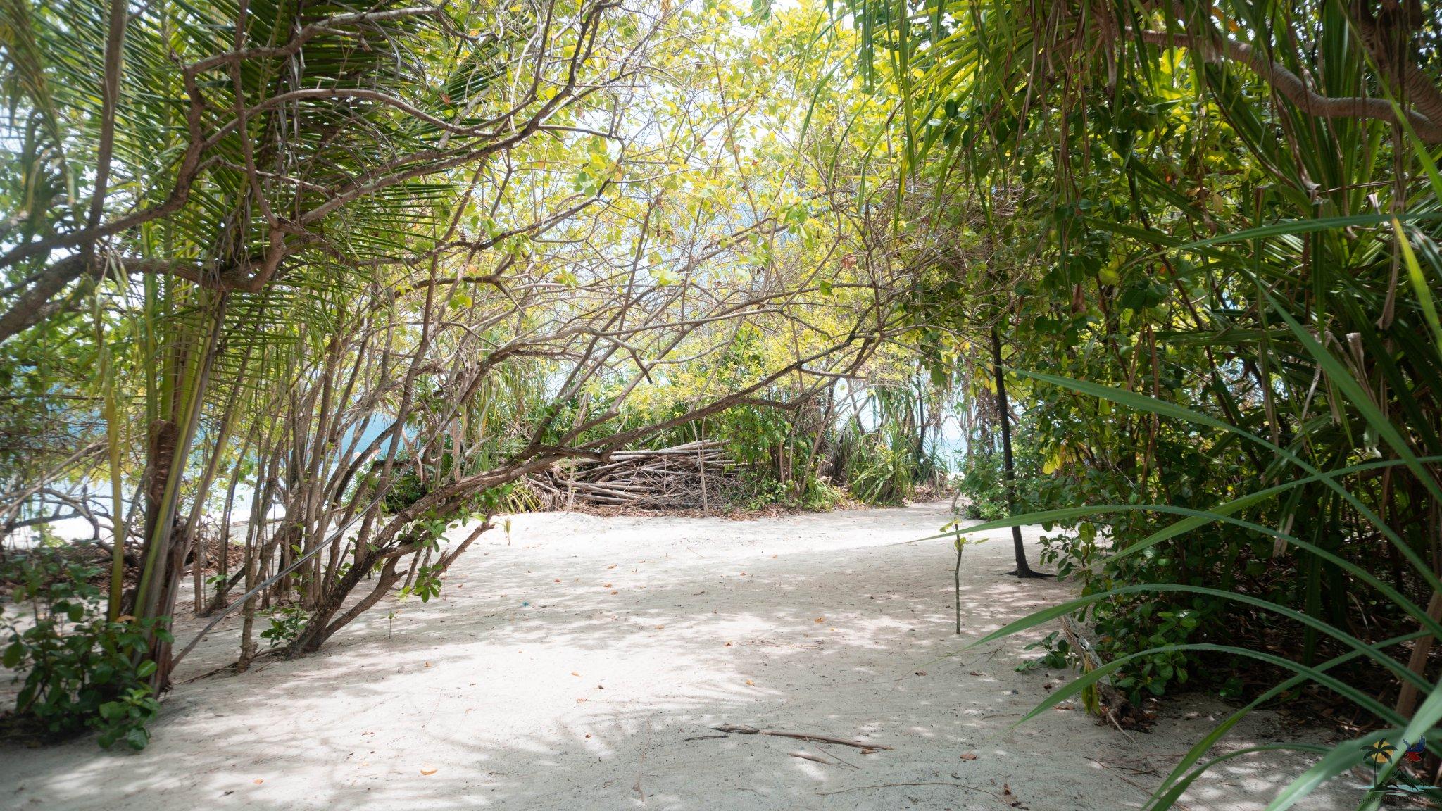 Mantigue Island - What to Expect + Planning Tips