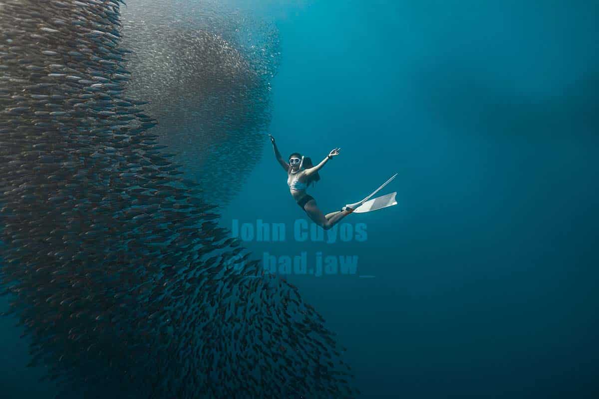 Freediving in Moalboal: Guide for Beginners and Fun Divers ...