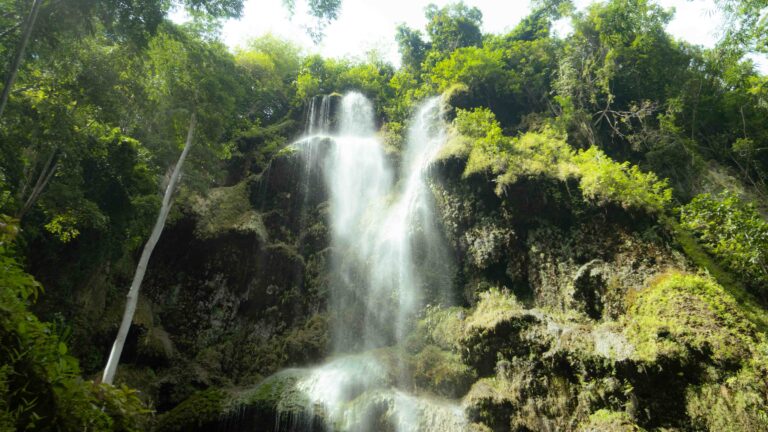 Oslob Travel Guide - What To Do, Where to Stay, and EVERYTHING You Need ...