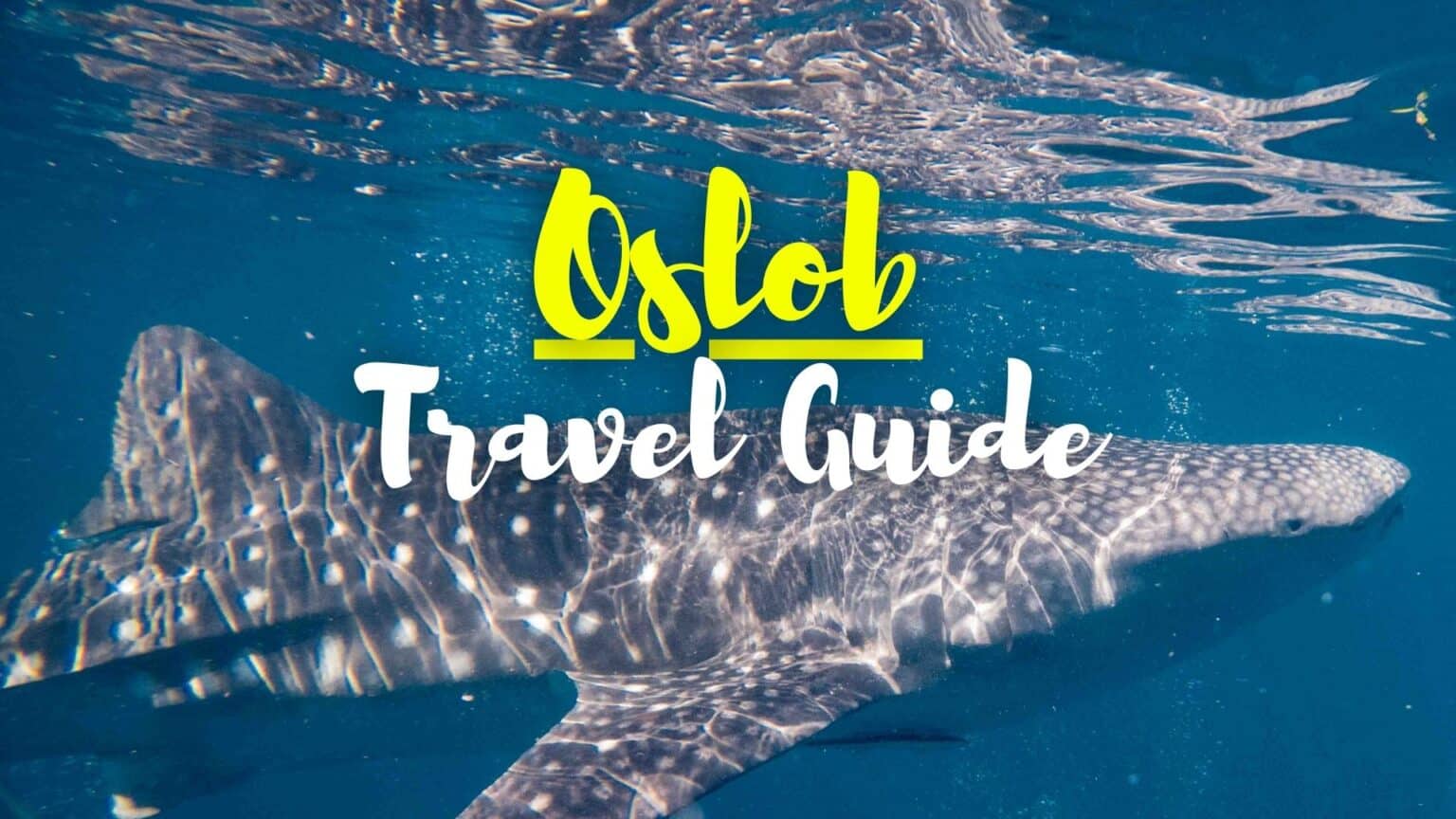 Oslob Travel Guide - What To Do, Where to Stay, and EVERYTHING You Need ...