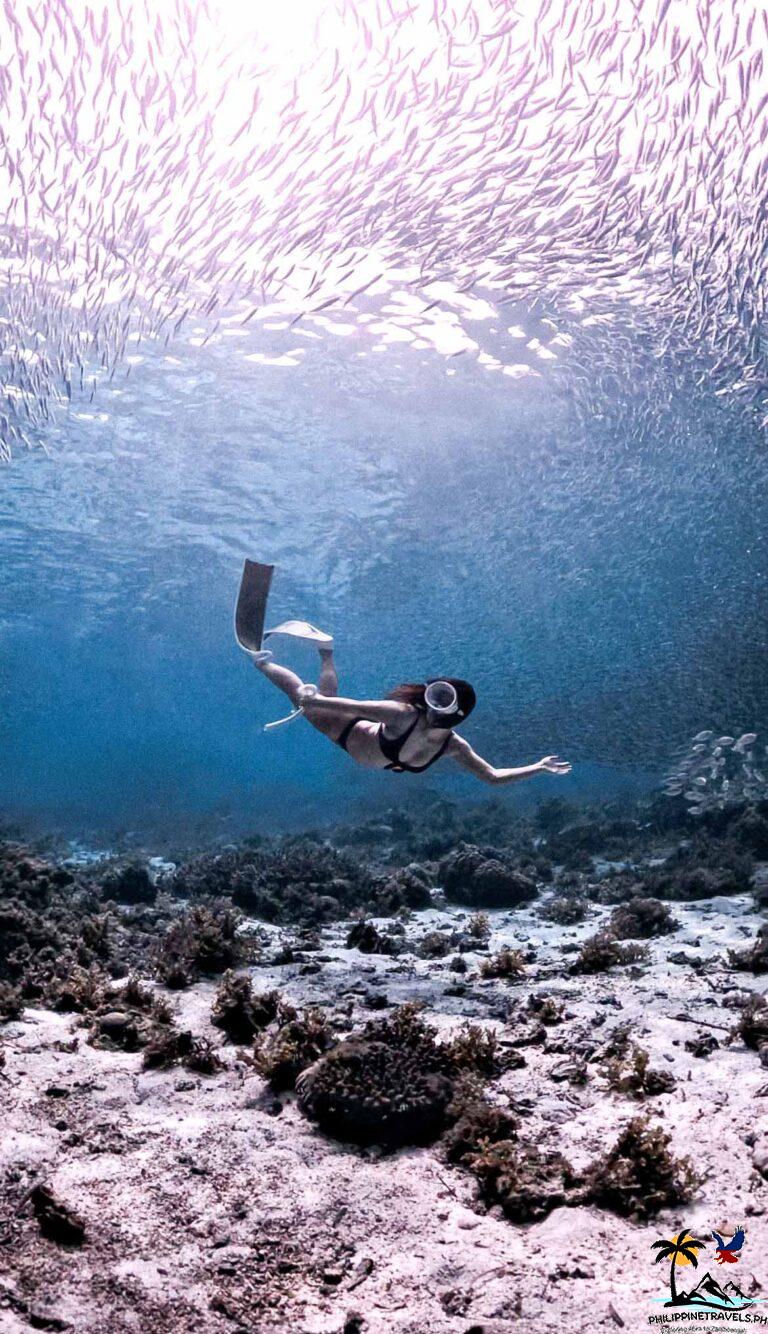 Napaling Reef: All You Need to Know About Bohol’s Brilliant Orange Reef ...