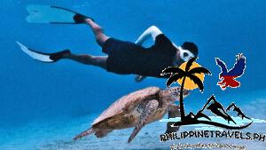 Napaling Reef: All You Need to Know About Bohol’s Brilliant Orange Reef ...