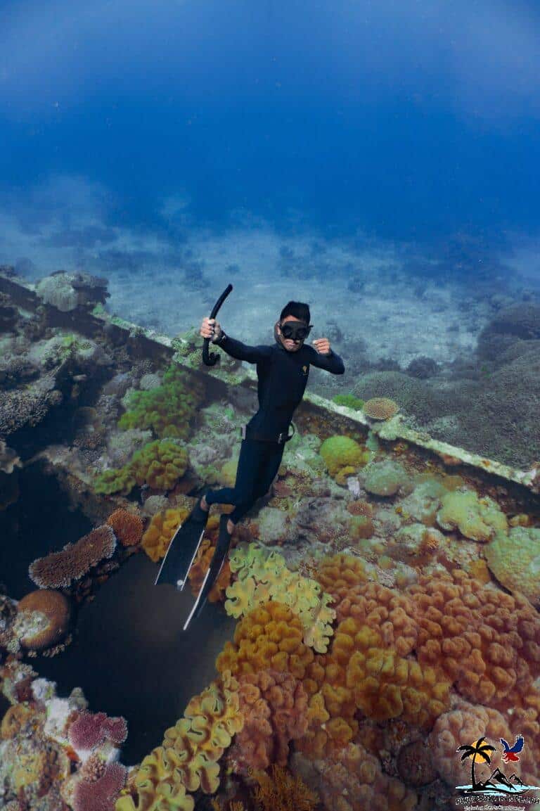 Apo Reef: The Ultimate Guide to the Philippines’ Most Beautiful Dive ...