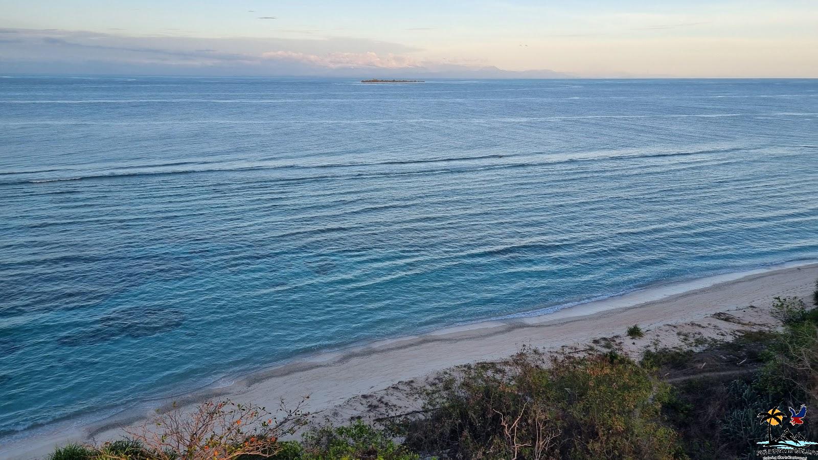 Apo Reef: The Ultimate Guide to the Philippines’ Most Beautiful Dive ...