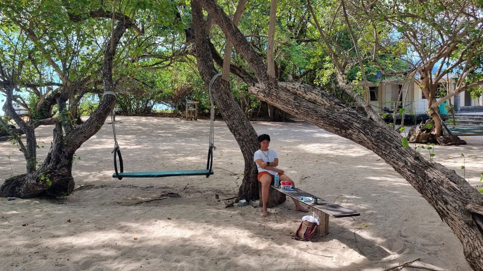 Apo Reef: The Ultimate Guide to the Philippines’ Most Beautiful Dive ...