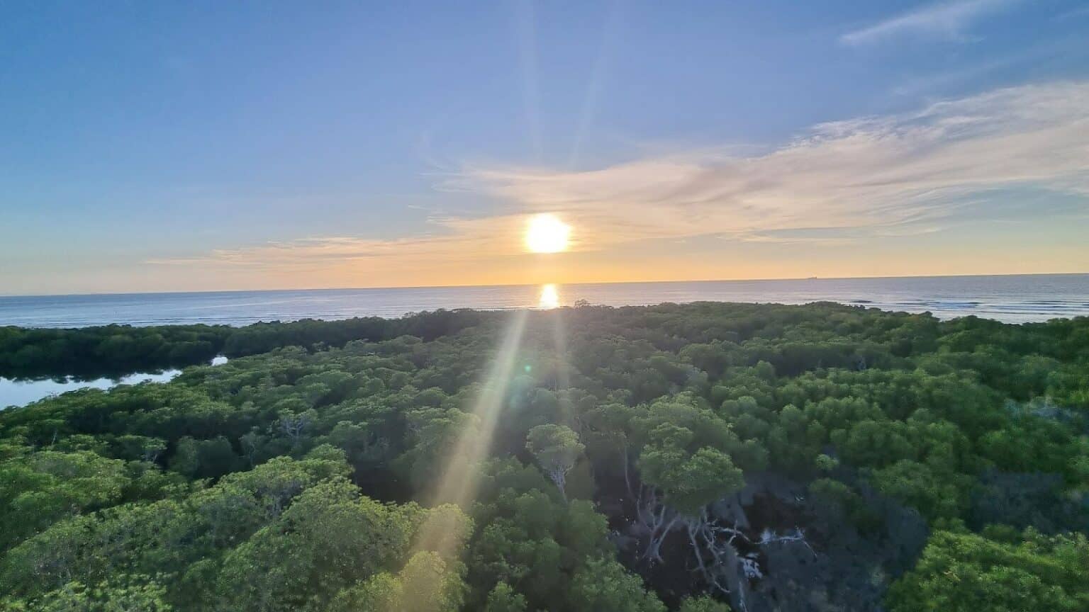 Apo Reef: The Ultimate Guide to the Philippines’ Most Beautiful Dive ...