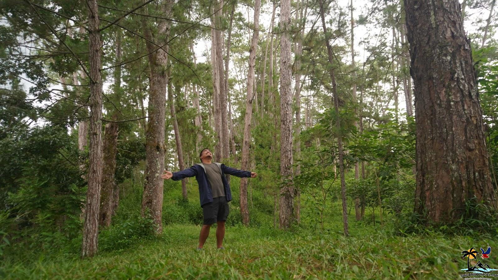 2025 Ultimate Bukidnon Travel Guide - My FAVORITE Province ...